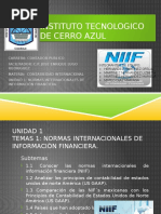 Resumen Nif B-5 | PDF | Estado financiero | Toma de decisiones