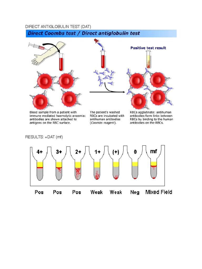 DHTR Diagnosis Pics | PDF