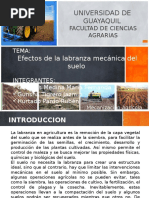 Glifosol - Herbicidas - Ficha Tecnica | PDF | Fotosíntesis | Biosíntesis