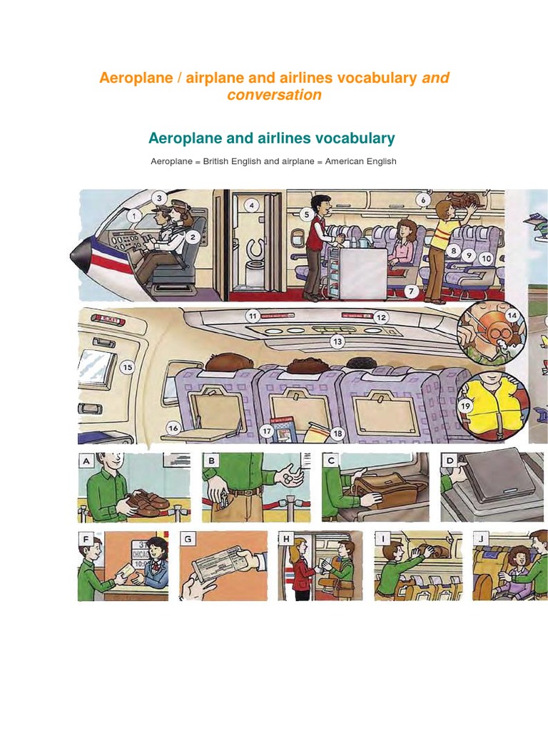 Aeroplane and Airline Vocabulary Guide | PDF | Airplane | Flight Attendant