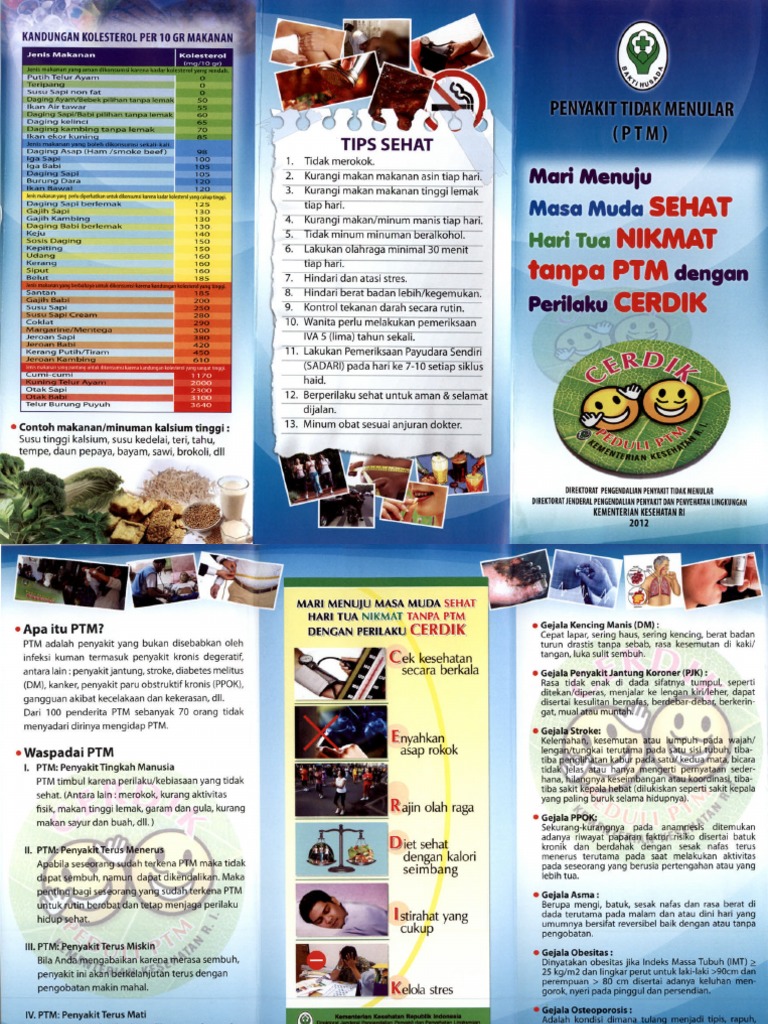 Leaflet PTM | PDF