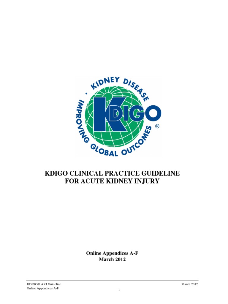 Kdigo Aki PDF | PDF | Renal Function | Chronic Kidney Disease