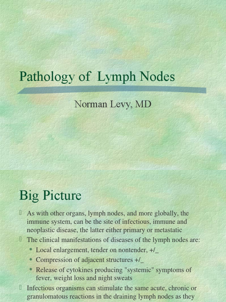 Pathology of the Lymph Nodes: An Overview of Infectious, Immune, and ...