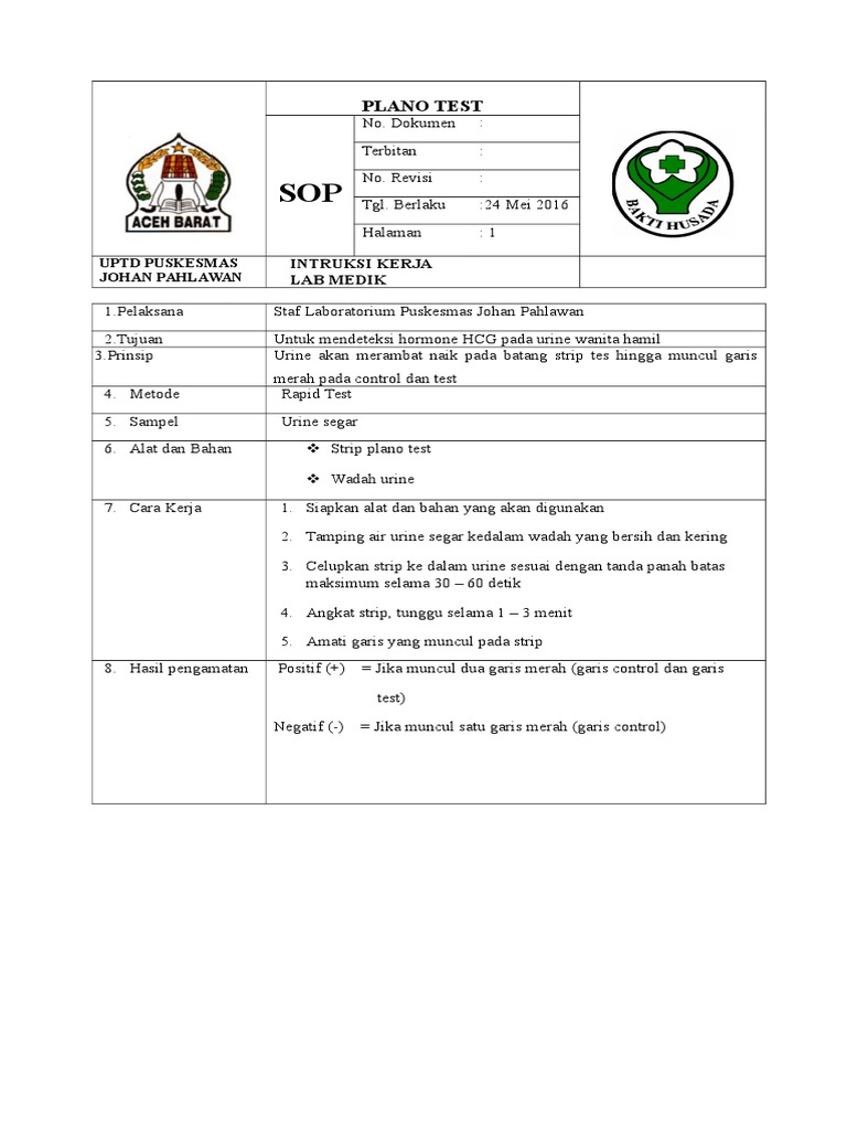 Panduan Pelaksanaan Plano Test Kehamilan | PDF