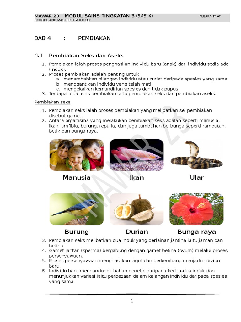 Modul Sains Tingkatan 3 Bab 4 | PDF