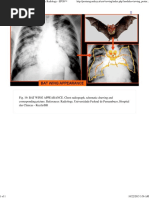 Topical Steroid Potency Chart | PDF