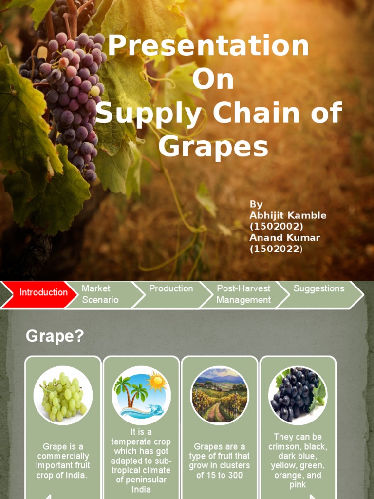 Supply Chain of Grapes - 1502002 - 1502022 | PDF | Grape | Fruit