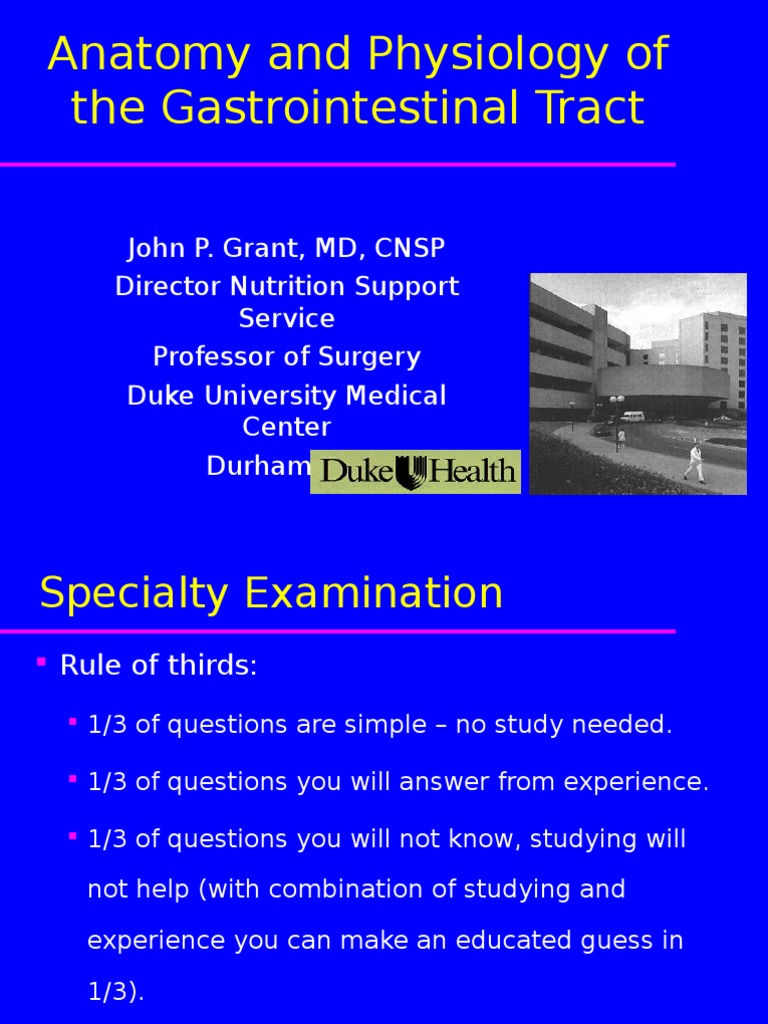 Anatomy and Physiology of The Gastrointestinal Tract | PDF | Small ...