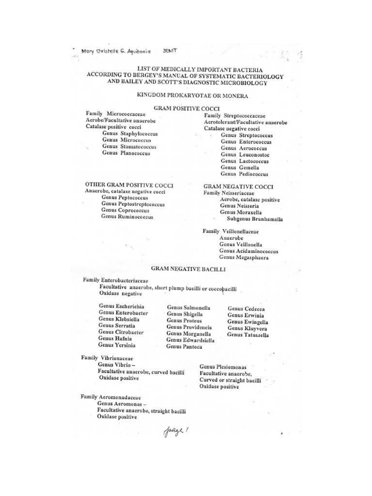 List of Medically Important Bacteria | PDF | Microbiology | Prokaryote