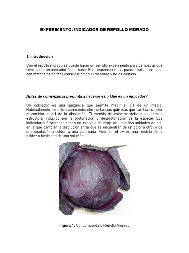 Experimento con Indicador de Repollo Morado | PDF | Ph | Ácido