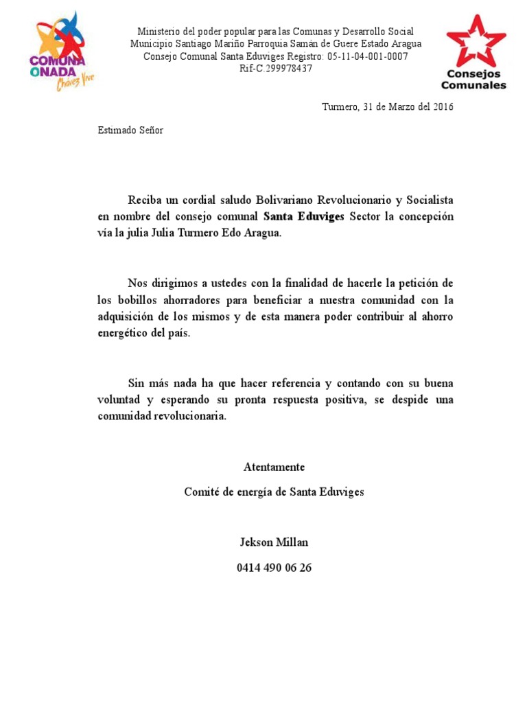 Consejo Comunal | PDF