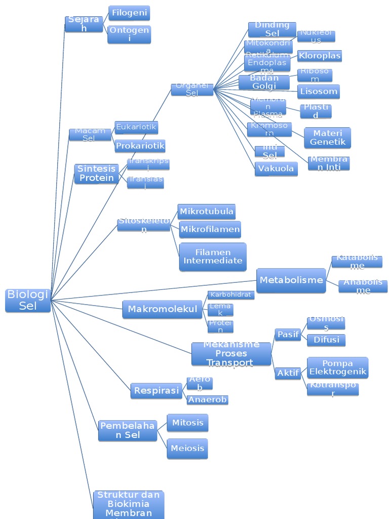 Mind Map Biologi Sel | PDF