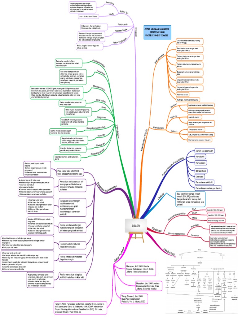 Mind Map BBLSR New | PDF