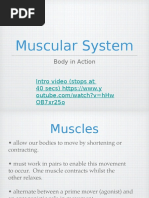 BTEC Sport Level 3 Revision Guide Muscular System | PDF