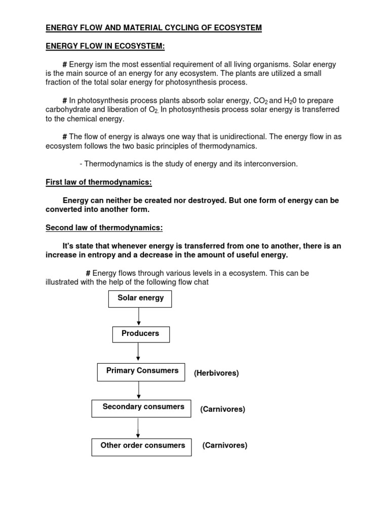 Energy Flow | PDF | Food Web | Ecosystem