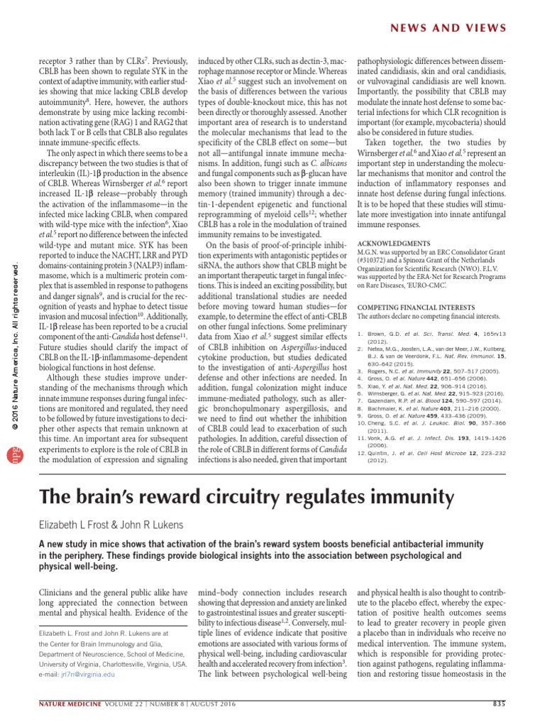 The Brain's Reward Circuitry Regulates Immunity: News and Views | PDF ...