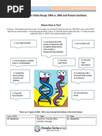 Video Recap of Alleles and Genes by Amoeba Sisters | PDF | Genotype ...