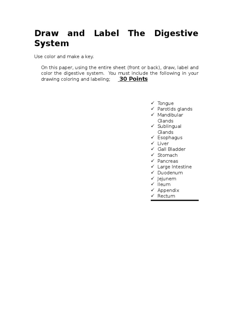 Draw and Label Dig Syst | PDF
