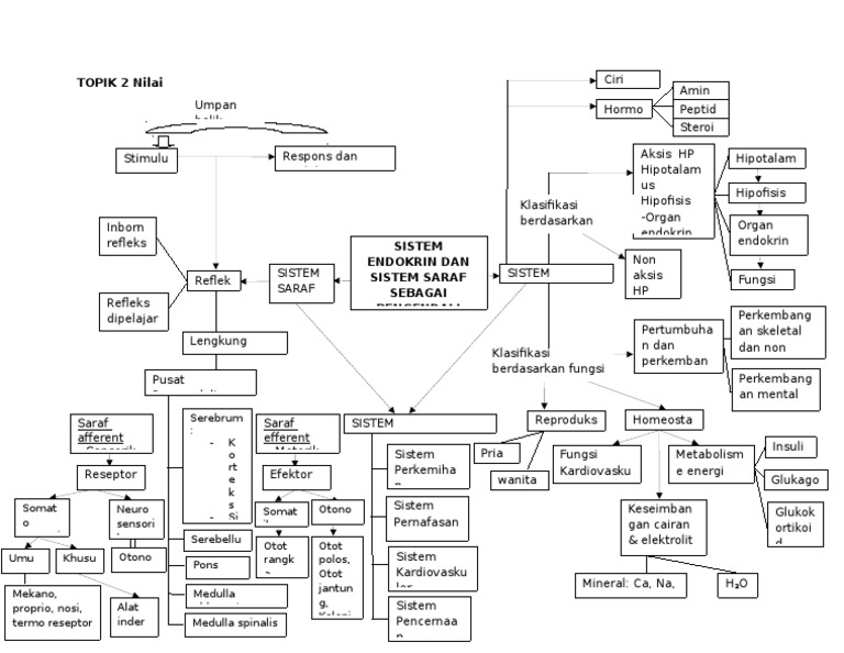 Mind Map Topik 2 | PDF