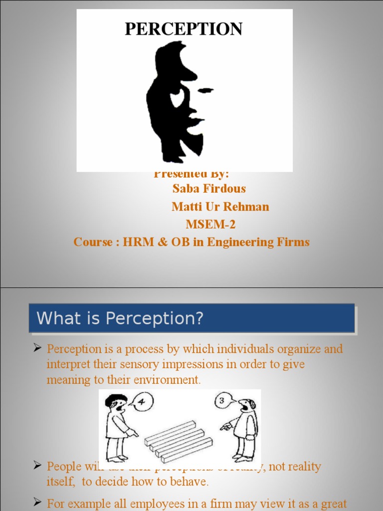 Presentation Ob Edit SF | PDF | Stereotypes | Perception