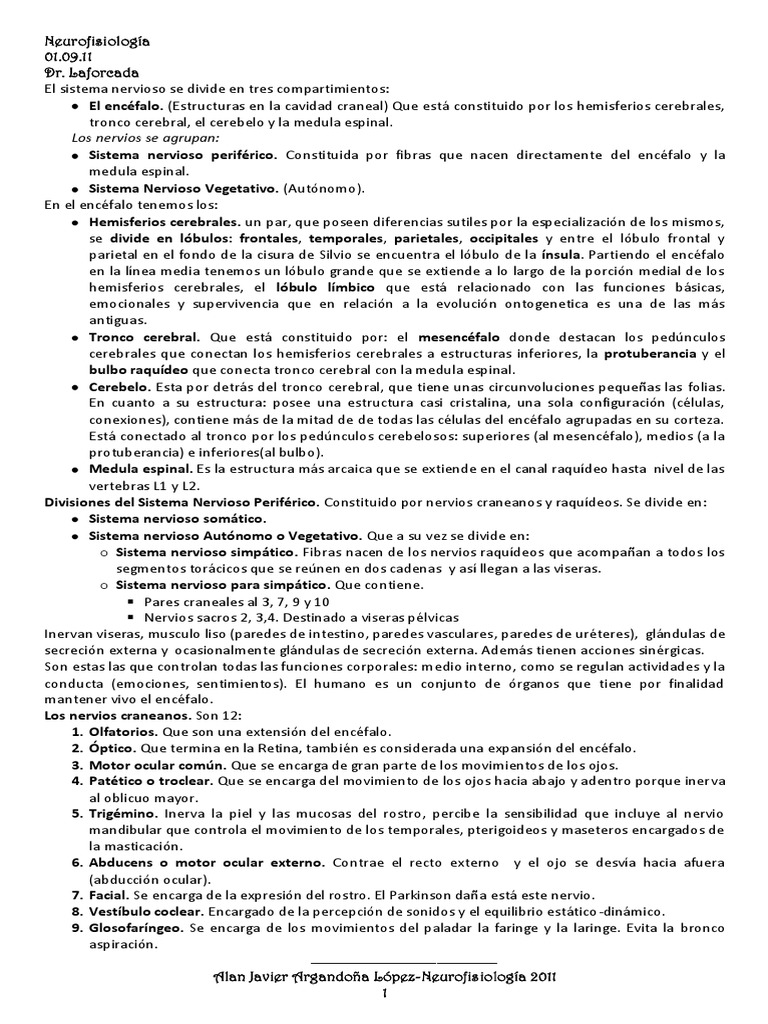 Neuro Fisiología (Somestecia Final) | PDF | Percepción visual | Dolor