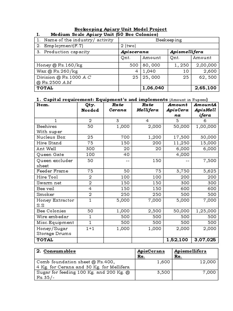 BEEKEEPING Apiary Unit Model Project | PDF | Beekeeping | Beehive