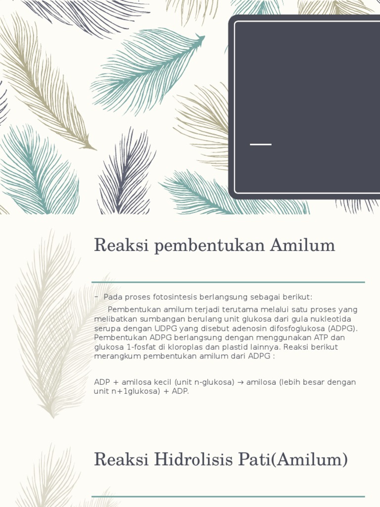 Reaksi Amilum | PDF