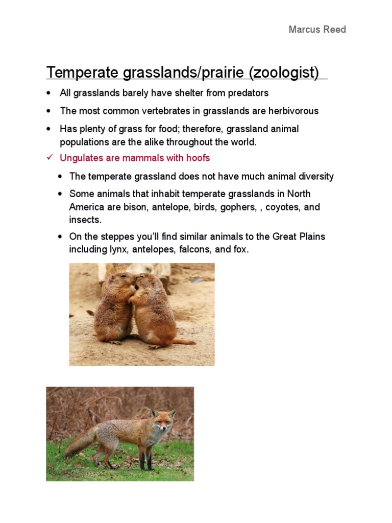 Temperate Grasslands | PDF