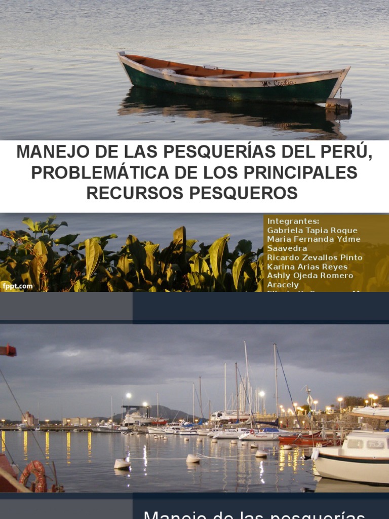 MANEJO DE LAS PESQUERÍAS DEL PERÚ, PROBLEMÁTICA DE LOS PRINCIPALES ...