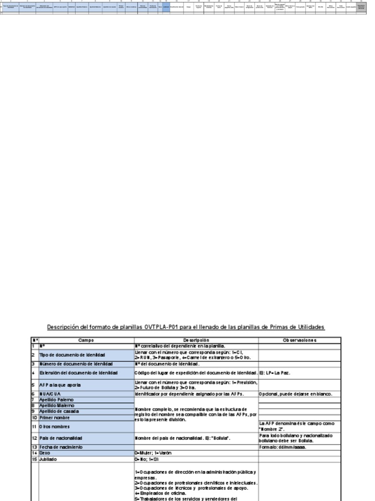 OVTPLA-P01 Formato de Planilla de Prima | PDF | Bolivia | Business