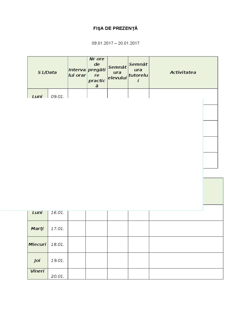 Fisa de Prezenta | PDF