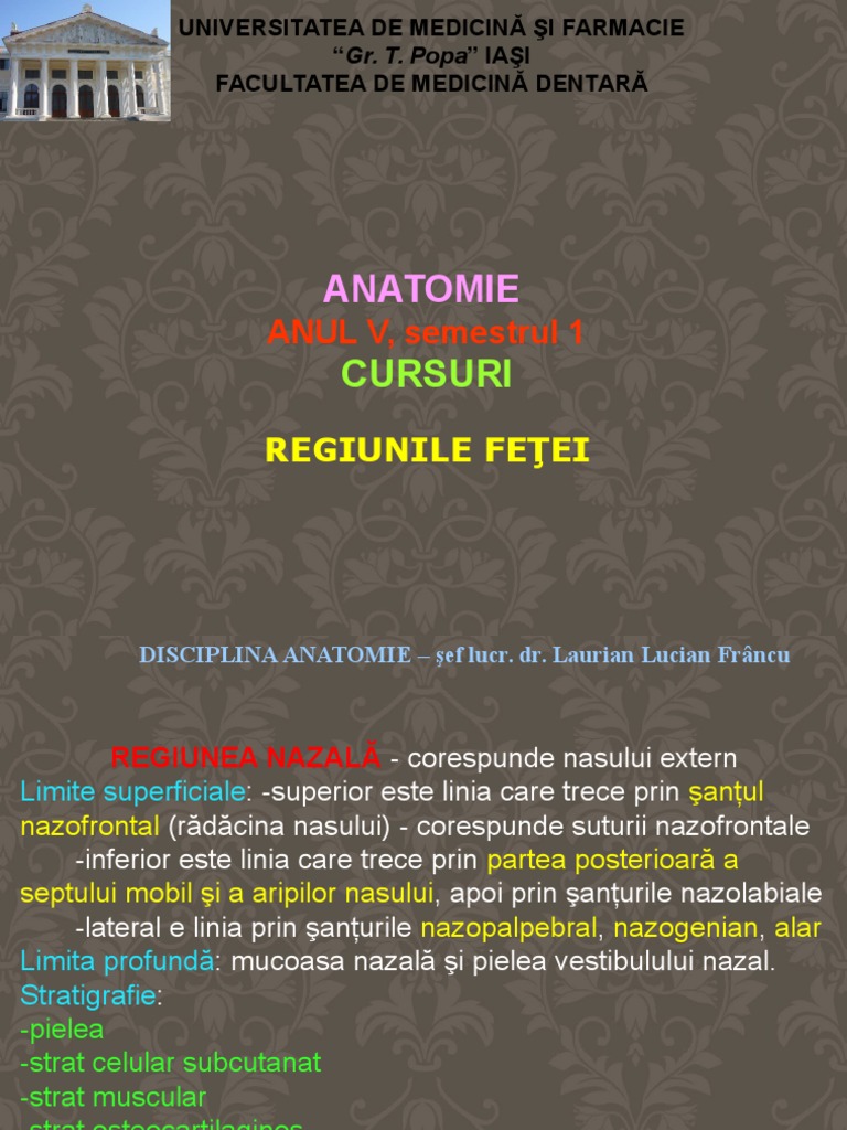 CURS 2 - Regiuni Fata | PDF