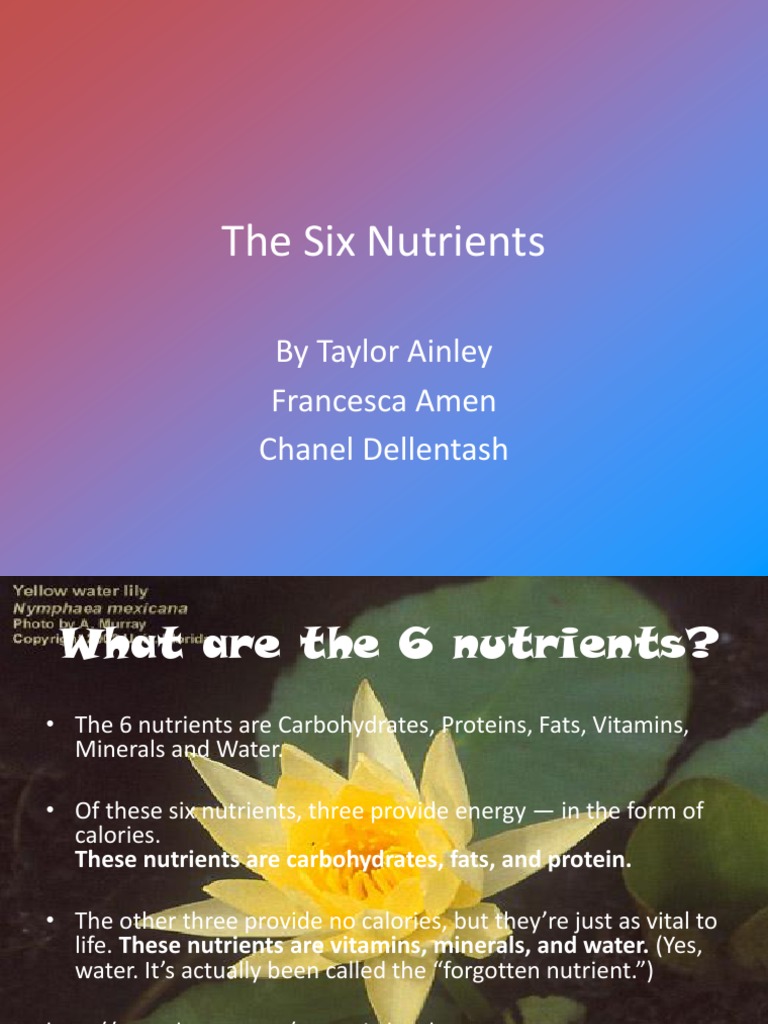 The Six Basic Nutrients Pdf Margarine Fat