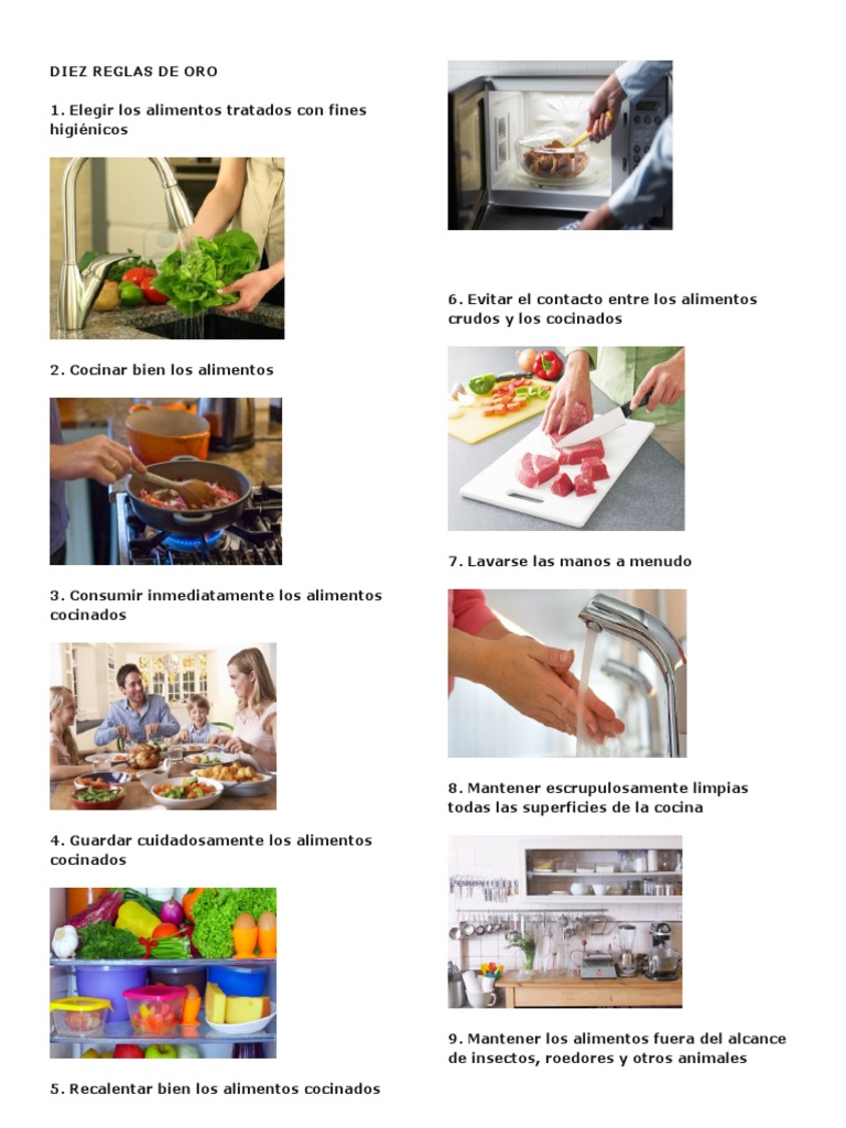 Diez Reglas De Oro En La Preparacion De Alimentos Pdf