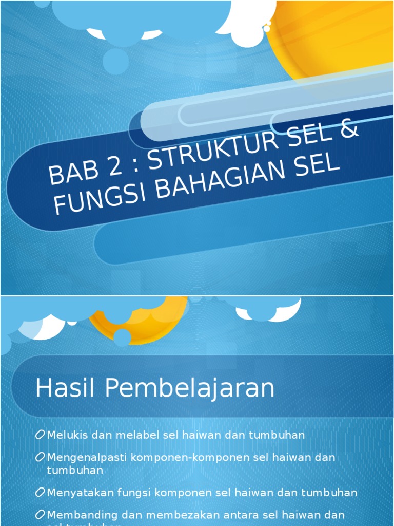 Struktur Sel Dan Organisasi Sel | PDF