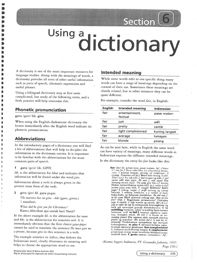 How To Use A Dictionary PDF