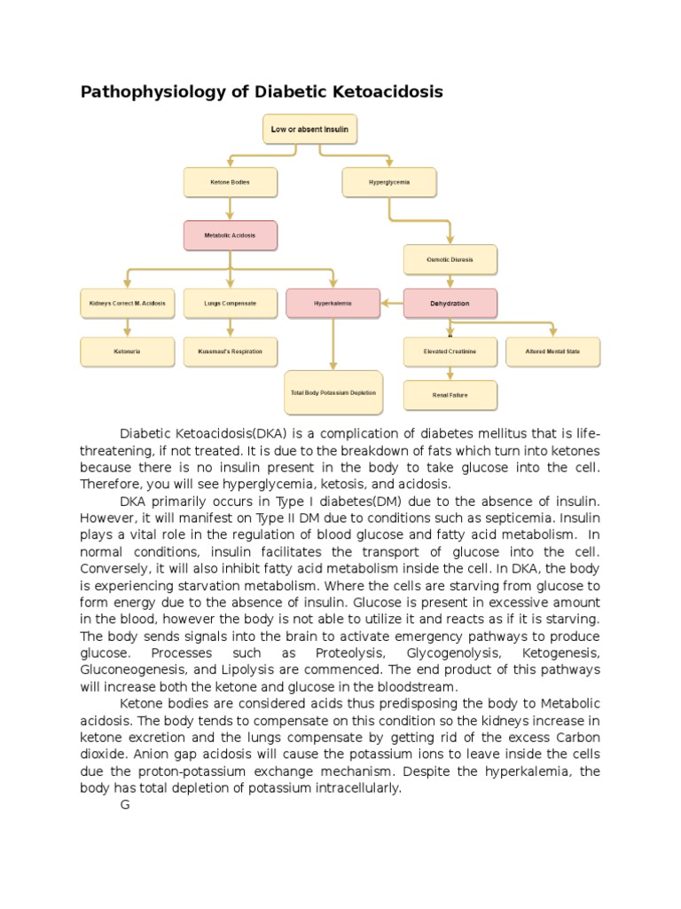 Pathophysiology of Diabetic Ketoacidosis | PDF