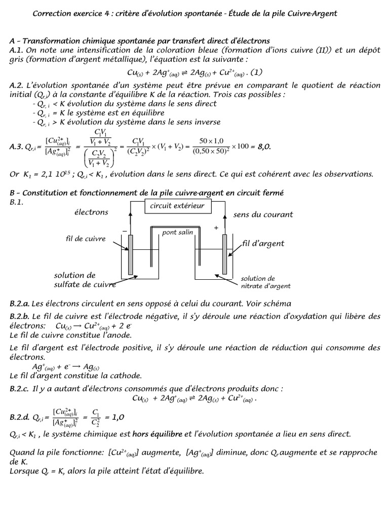 Evolution Pile Cor | PDF