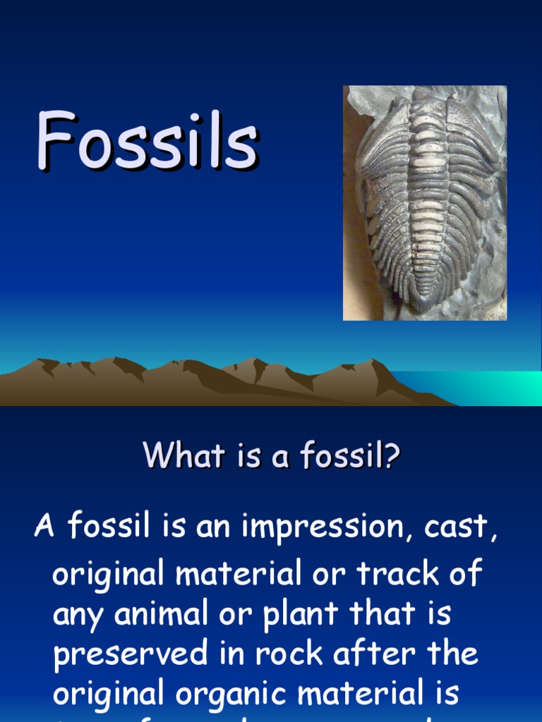 Understanding Fossils: Types and Formation | PDF | Social Science