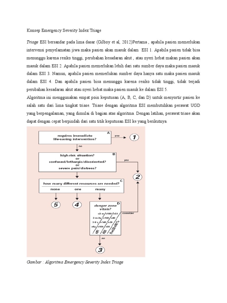 Konsep Emergency Severity Index Triage | PDF