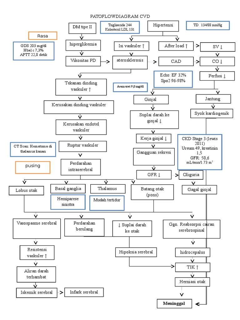 CVD Pathophysiology Flow Diagram | PDF