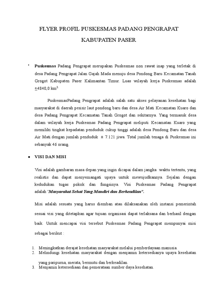 Flyer Profil Puskesmas Padang Pengrapat | PDF