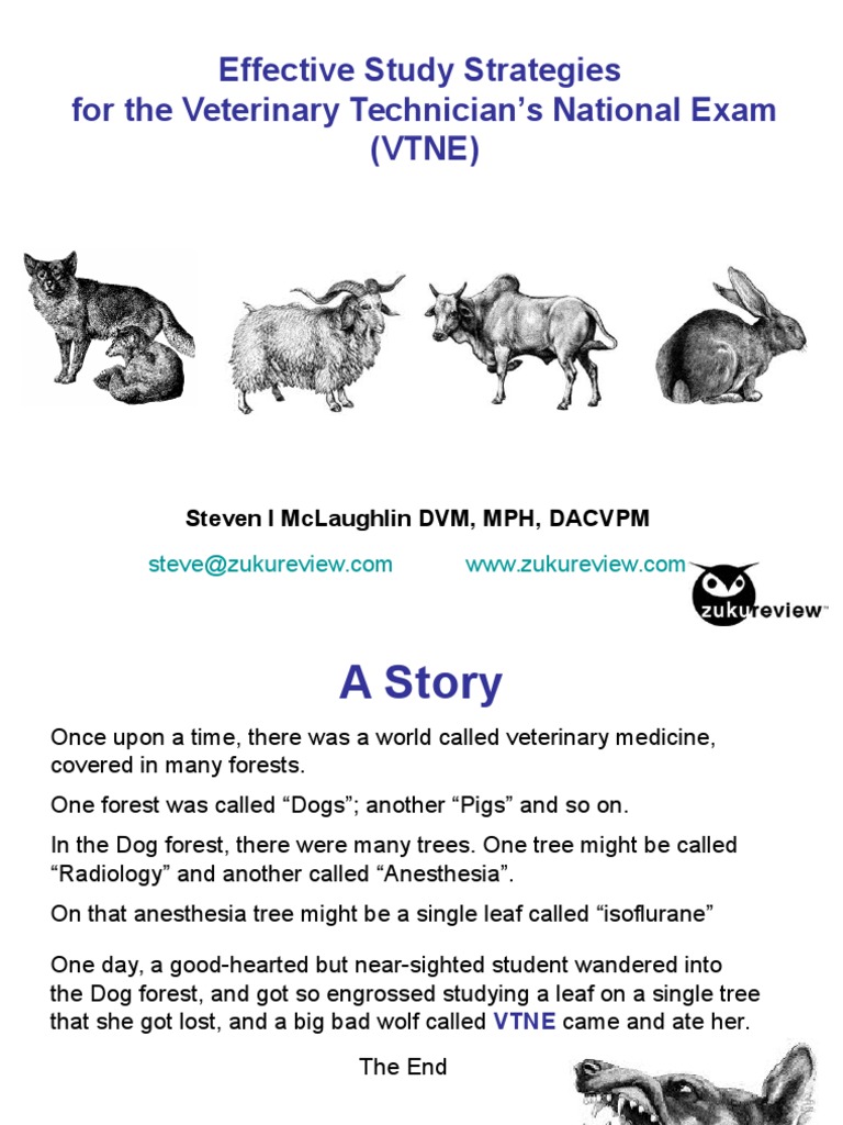 Vtne Study Strategies Zuku Review | PDF | Multiple Choice | Test ...