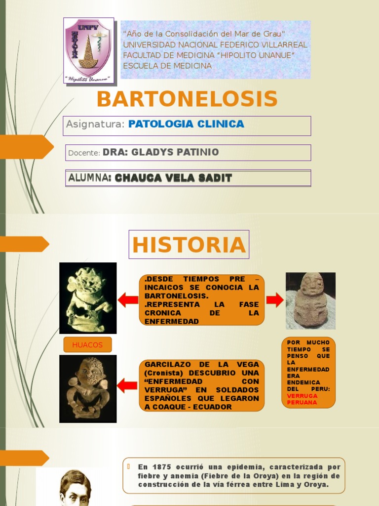 BARTONELOSIS | PDF | Patologia clinica | Enfermedades y trastornos