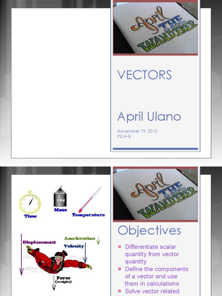 Vectors Supplement | PDF | Euclidean Vector | Classical Mechanics