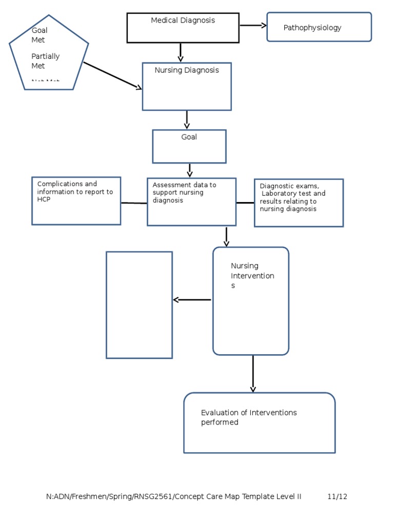 Concept Care Map Template Level II | PDF