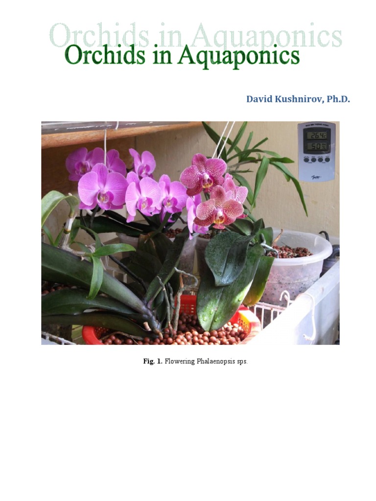 Aquaponic Orchids | PDF