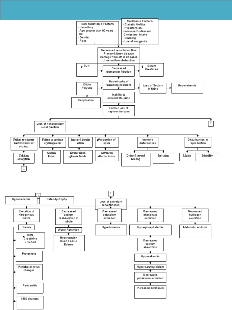 Chronic Kidney Disease Pathophysiology Schematic Diagram | Kidney ...