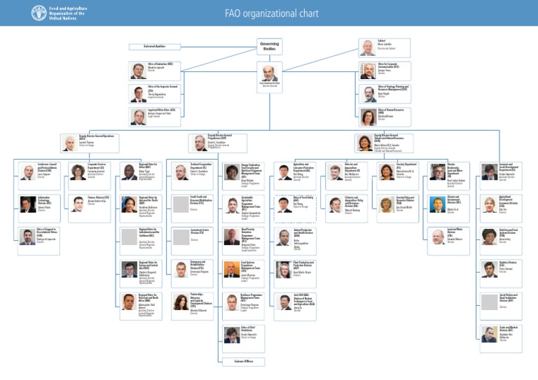 FAO-Organigramme-February-2017-en.pdf | Food And Agriculture ...