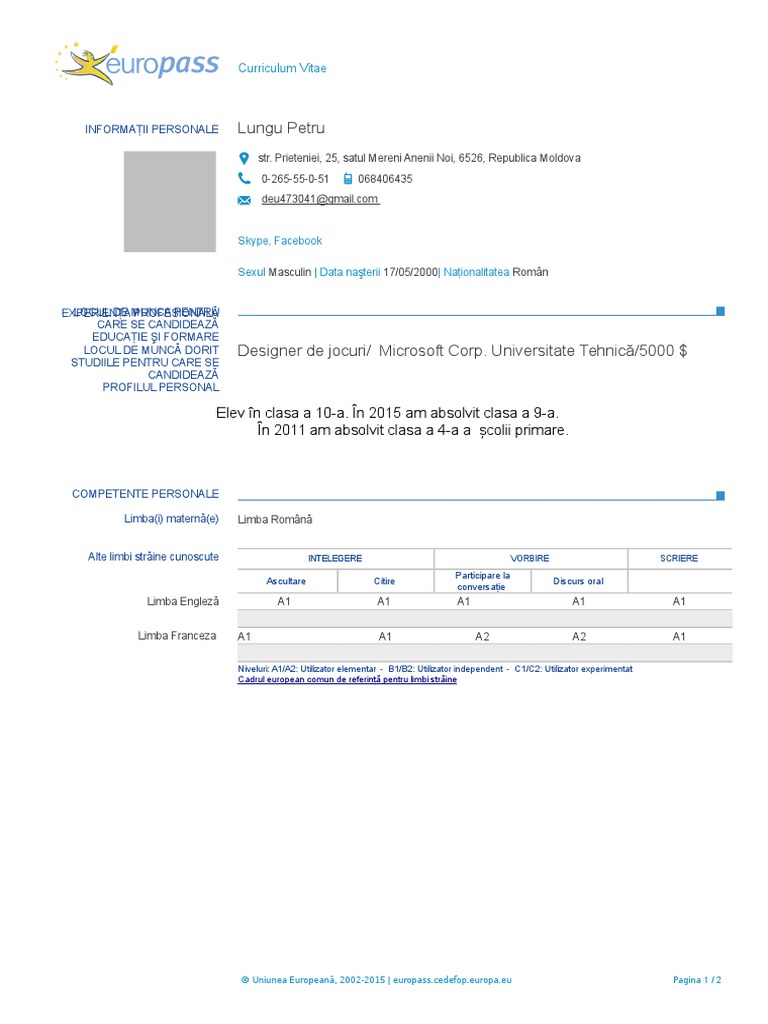 CV Europass | PDF